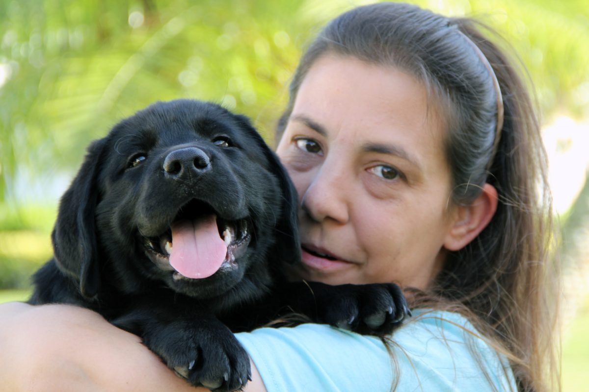 Our Dogs - SoFlo Labradors of South Florida